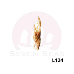 L124 Flexor tendons and dorsal aponeurosis of the hand – Seven Seas